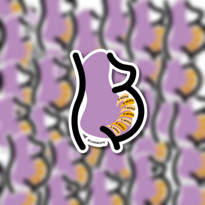 Ciclo del Embarazo - Sticker – Luna Bee LLC